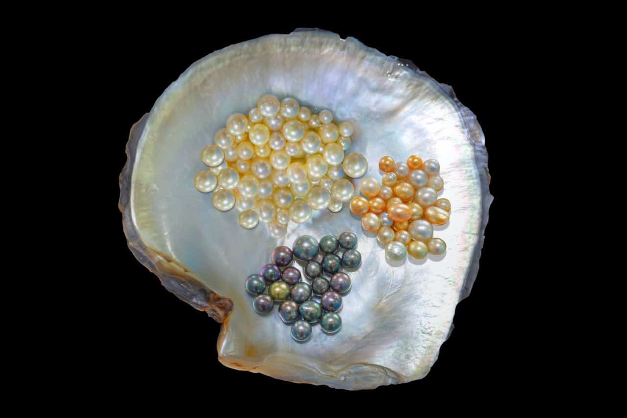 Farmed Pearls vs Natural Pearls & Their Differences